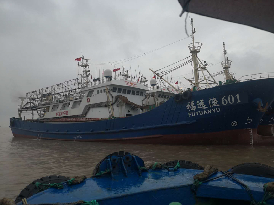 Fu Yuan Yu 601 | NPFC